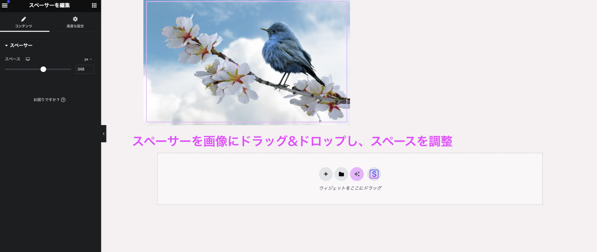 Elementor画像ウィジェットの使い方と画像サイズの扱い方